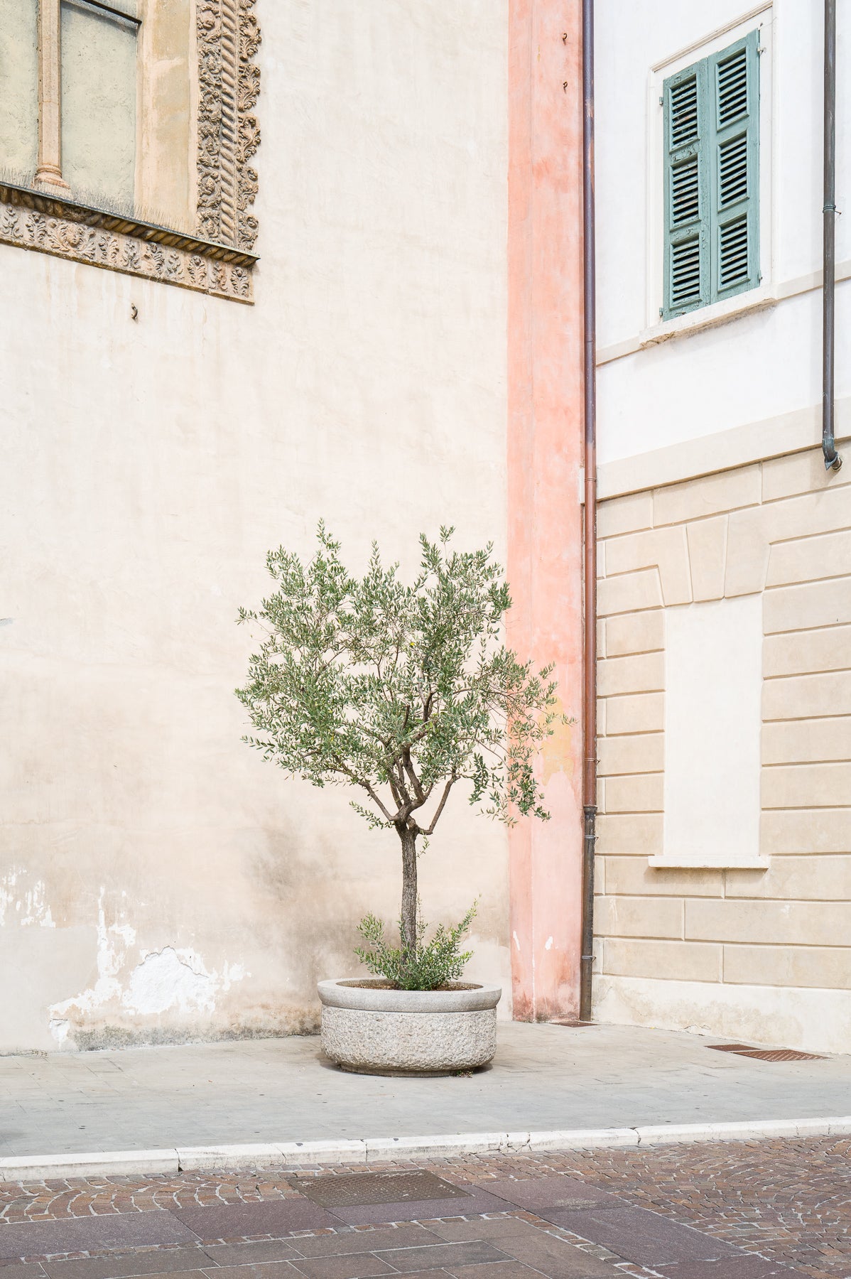 Uliva – SPLENDIDO SUPERSTORE